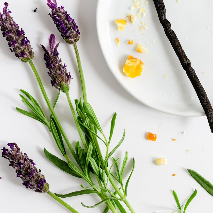 Oud Eclipse Reed Diffuser – Lunar Oceans